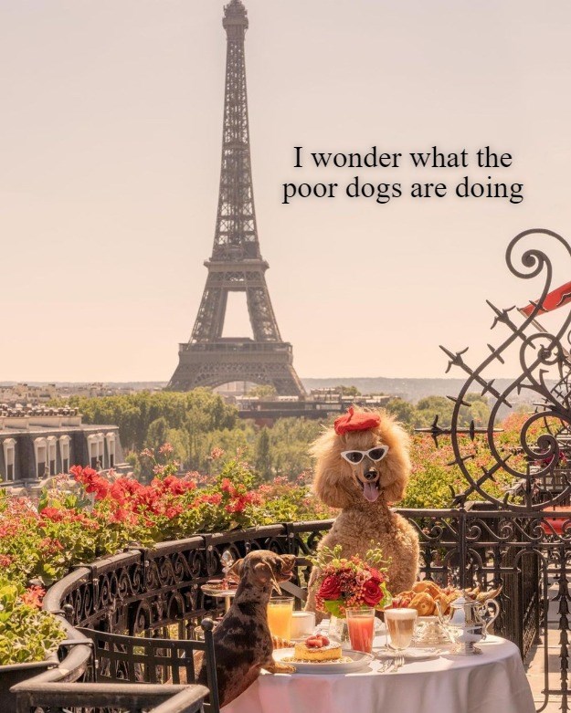 Not As Well As Us - I Has A Hotdog - Dog Pictures - Funny pictures of ...