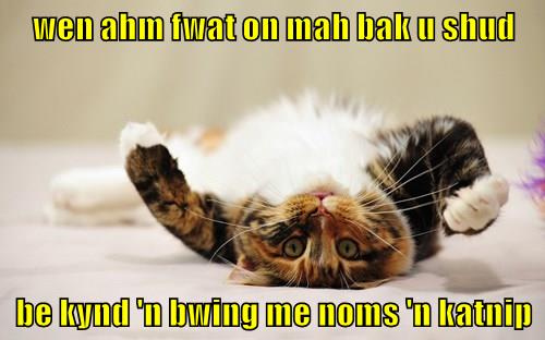 Be kind - Lolcats - lol | cat memes | funny cats | funny cat pictures ...