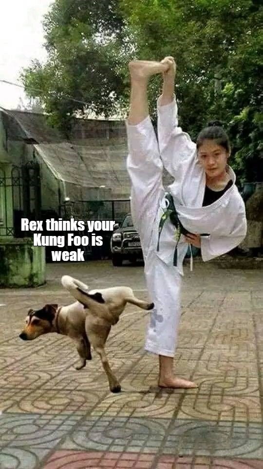 And Wet - I Has A Hotdog - Dog Pictures - Funny pictures of dogs - Dog ...