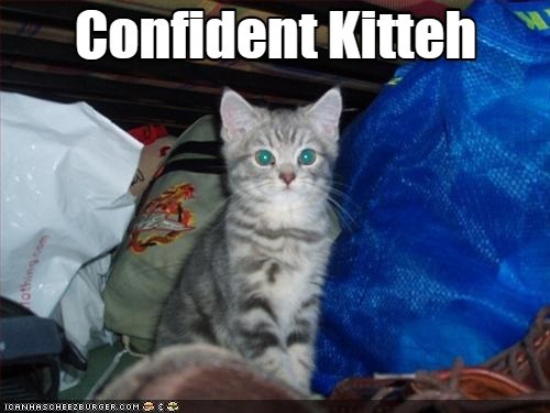 Confident - Lolcats - lol | cat memes | funny cats | funny cat pictures ...