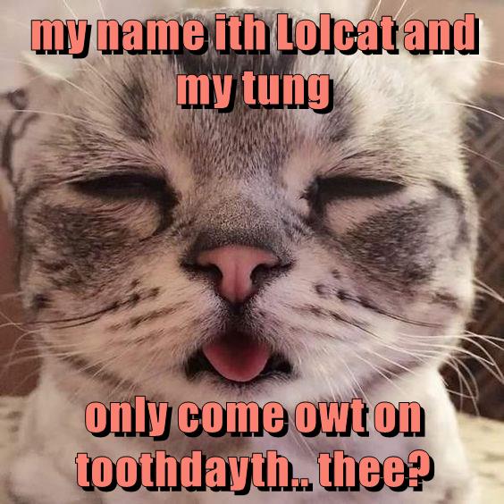 See? - Lolcats - lol | cat memes | funny cats | funny cat pictures with ...