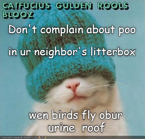 LoL, DON'T COMPLAIN WUT?? - Lolcats - lol | cat memes | funny cats ...