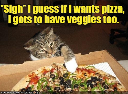 I'll pick 'em off when nobody is looking. - Lolcats - lol | cat memes ...