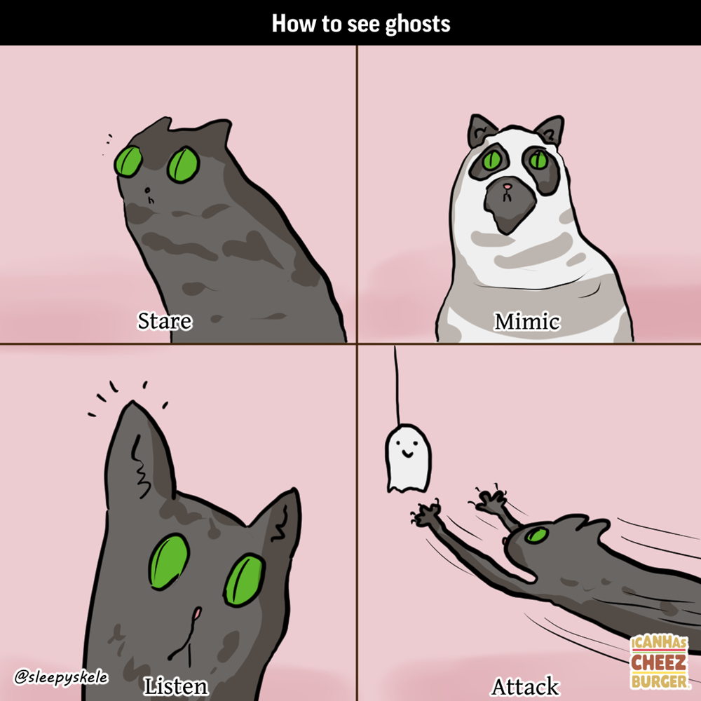 Ghosts - I Can Has Cheezburger?