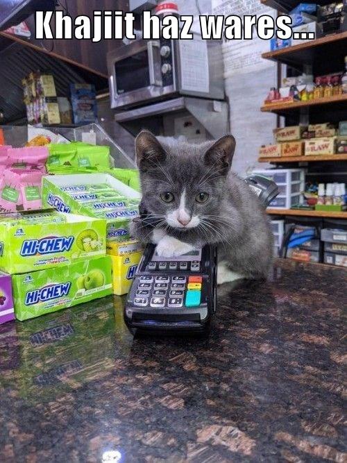 Khajiit haz wares... - Lolcats - lol | cat memes | funny cats | funny cat pictures with words on ...