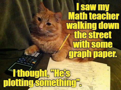 See something, say something. - Lolcats - lol | cat memes | funny cats ...