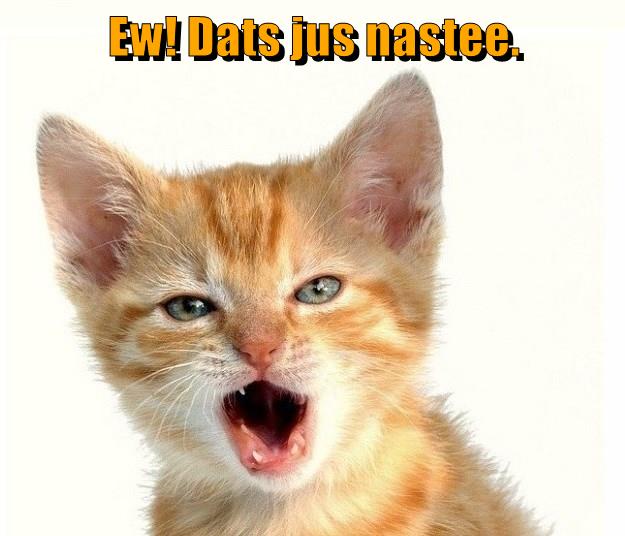 Ew! Dats jus nastee. - Lolcats - lol | cat memes | funny cats | funny ...