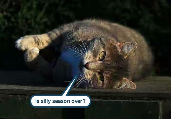 John Cleese did it better - Lolcats - lol | cat memes | funny cats ...