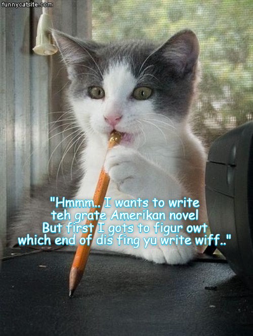 Sarah is on the way to great success! - Lolcats - lol | cat memes ...