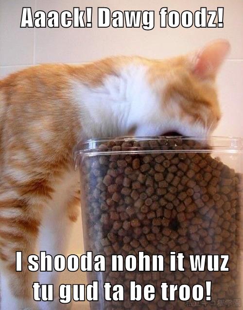 Aaack! - Lolcats - lol | cat memes | funny cats | funny cat pictures ...