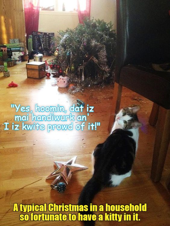 Roger is quite outspoken about his accomplishments.. - Lolcats - lol ...