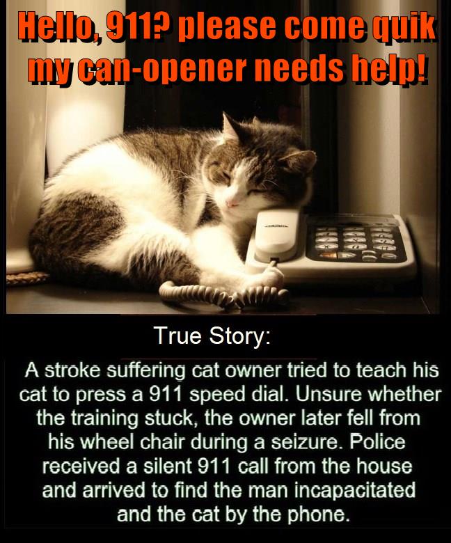 Hello, 911? please come quik my can-opener needs help! - Lolcats - lol ...