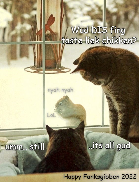 Happy Fanksgibben 2022 - Lolcats - lol | cat memes | funny cats | funny ...