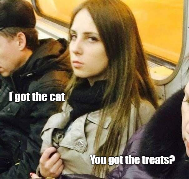 Cold War Kitty - Lolcats - lol | cat memes | funny cats | funny cat ...