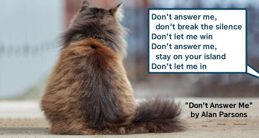 "Don't Answer Me" by Alan Parsons - Lolcats - lol | cat memes | funny ...