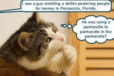 Pan-ception - Lolcats - lol | cat memes | funny cats | funny cat ...
