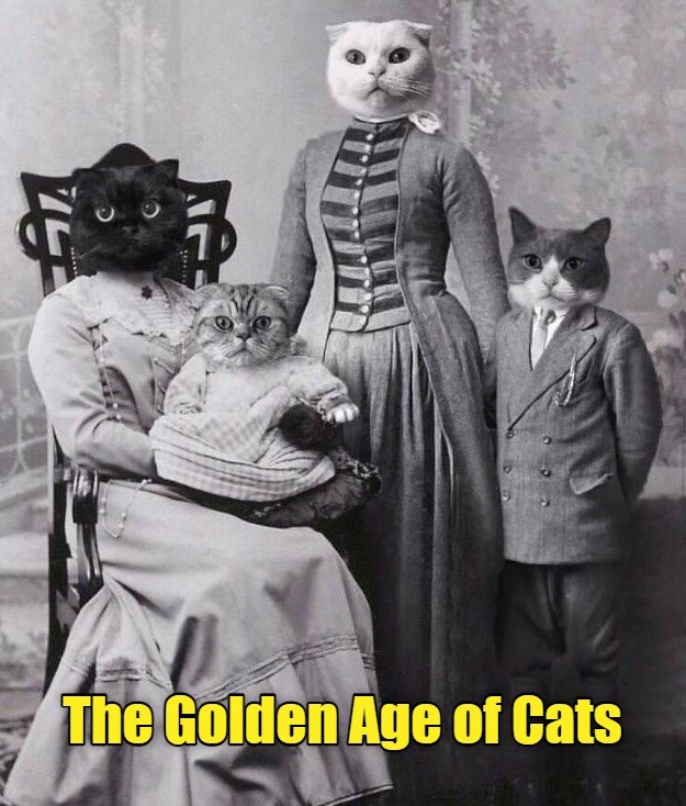 Circa 1907 - I Can Has Cheezburger?