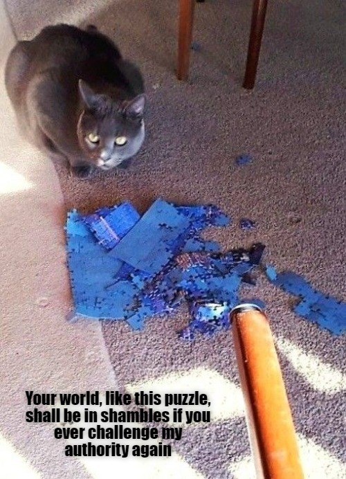 Am I Clear? - Lolcats - lol | cat memes | funny cats | funny cat ...