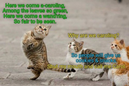 Reasons for holiday cheer. - Lolcats - lol | cat memes | funny cats ...