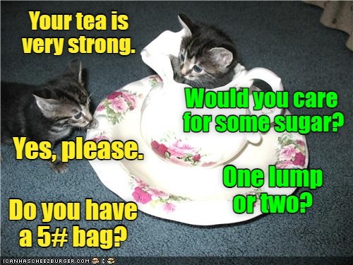 American Southerner visits London. - Lolcats - lol | cat memes | funny ...