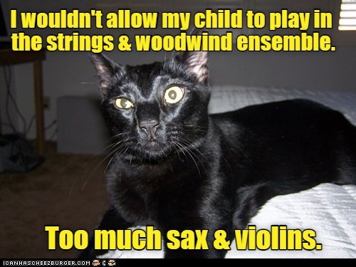 Overprotective Dad - Lolcats - lol | cat memes | funny cats | funny cat ...