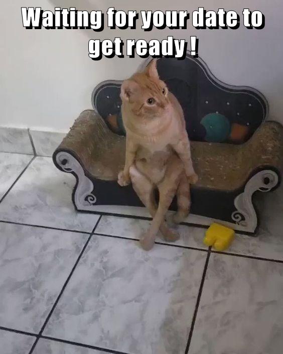 Waiting for your date to get ready ! - Lolcats - lol | cat memes ...
