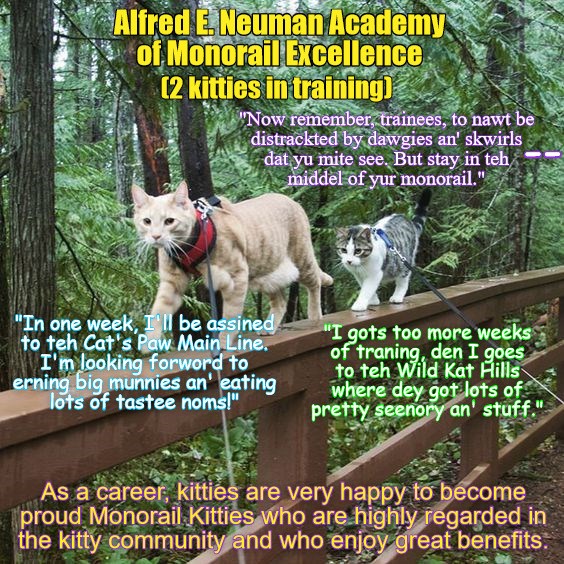 Monorail Kitties: The Proud Origin - Lolcats - lol | cat memes | funny ...