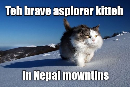 Himalays, heer Ai come - Lolcats - lol | cat memes | funny cats | funny ...