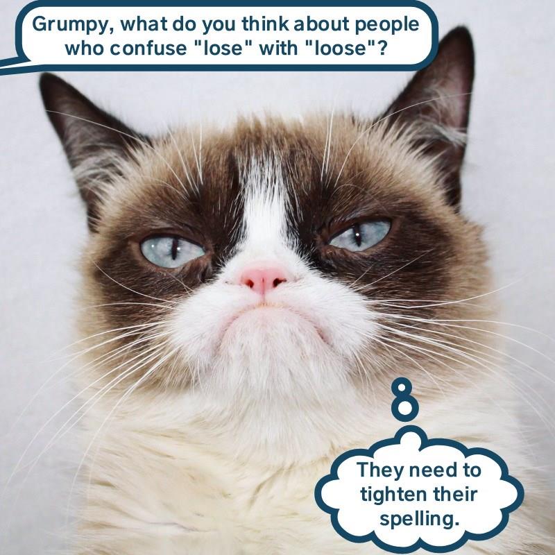 Awful! - Lolcats - lol | cat memes | funny cats | funny cat pictures ...