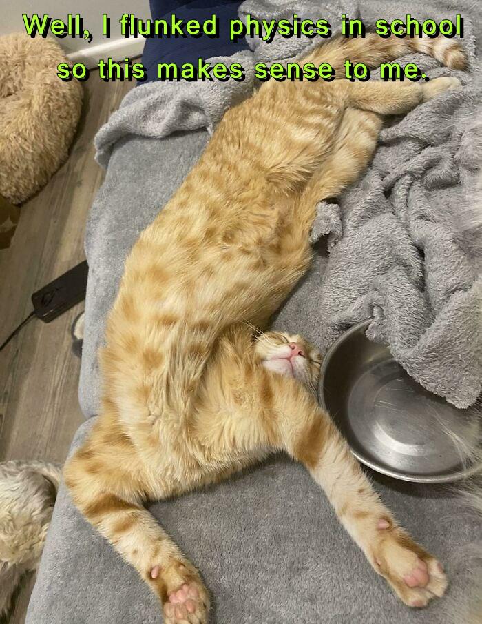 Makes total sense - Lolcats - lol | cat memes | funny cats | funny cat ...