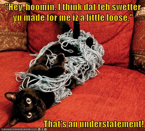 That's an understatement! - Lolcats - lol | cat memes | funny cats ...