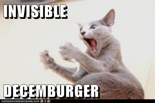 INVISIBLE DECEMBURGER - Lolcats - lol | cat memes | funny cats | funny ...
