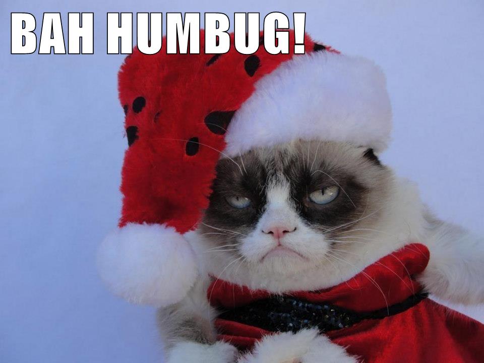 BAH HUMBUG! - Lolcats - lol | cat memes | funny cats | funny cat ...