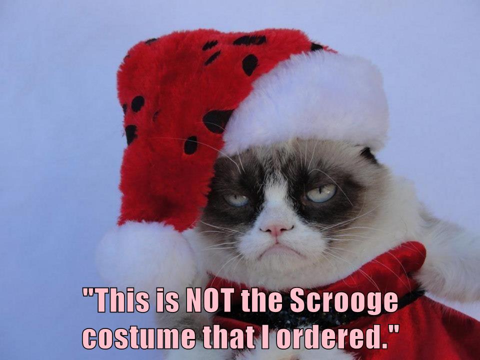 Scrooge - Lolcats - lol | cat memes | funny cats | funny cat pictures ...