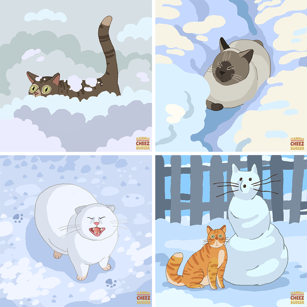 Winter cats - I Can Has Cheezburger?