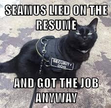 Fake it till you make it - Lolcats - lol | cat memes | funny cats ...