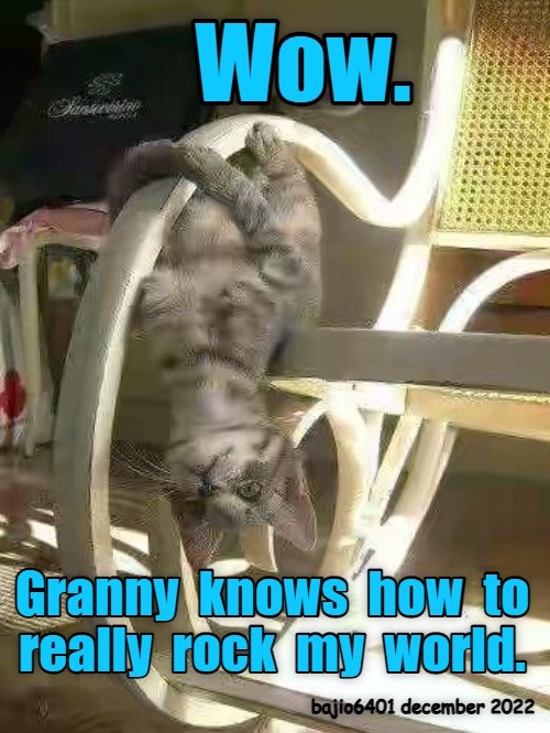 AND YOU THOUGHT SHE WAS JUST AN OLD FUDDY-DUDDY - Lolcats - lol | cat ...