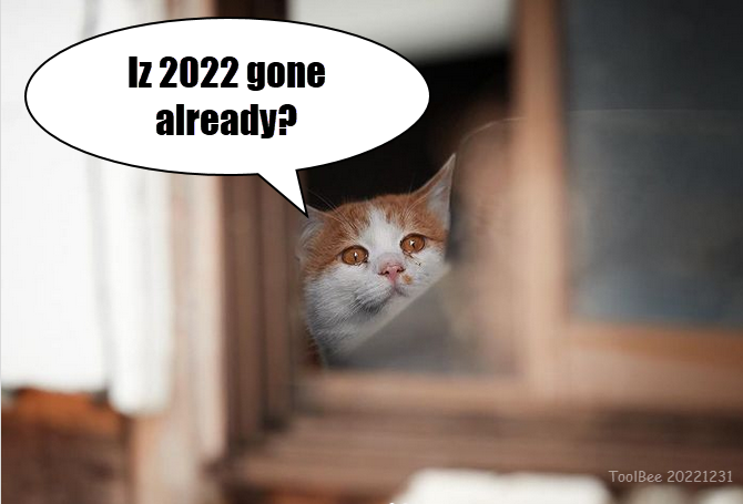 Iz gone 4ever bai - Lolcats - lol | cat memes | funny cats | funny cat ...