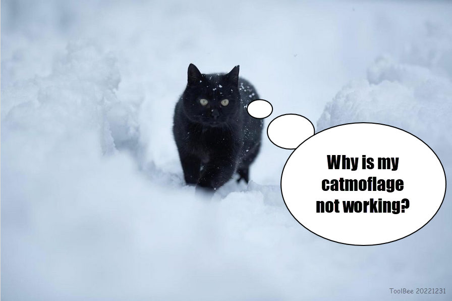 Sticking out like a sore paw - Lolcats - lol | cat memes | funny cats ...