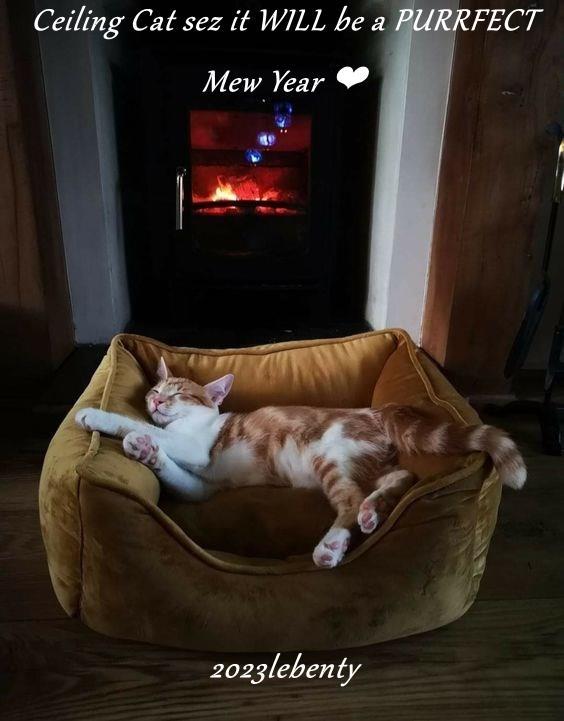 A purrfect mew year