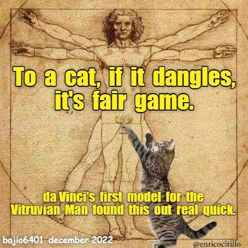 Alls Fair In Love And Cat Games Lolcats Lol Cat Memes Funny Cats Funny Cat Pictures