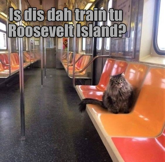 Halp plz - Lolcats - lol | cat memes | funny cats | funny cat pictures ...