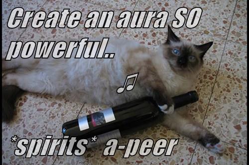 I'm having a vision - Lolcats - lol | cat memes | funny cats | funny ...