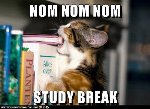 Studying snack-ology - Lolcats - lol | cat memes | funny cats | funny ...