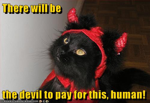 The devil's in the details - Lolcats - lol | cat memes | funny cats ...