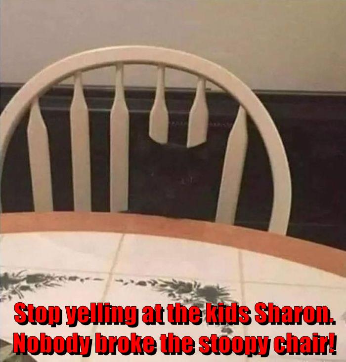 There's a cat in the chair - Lolcats - lol | cat memes | funny cats ...