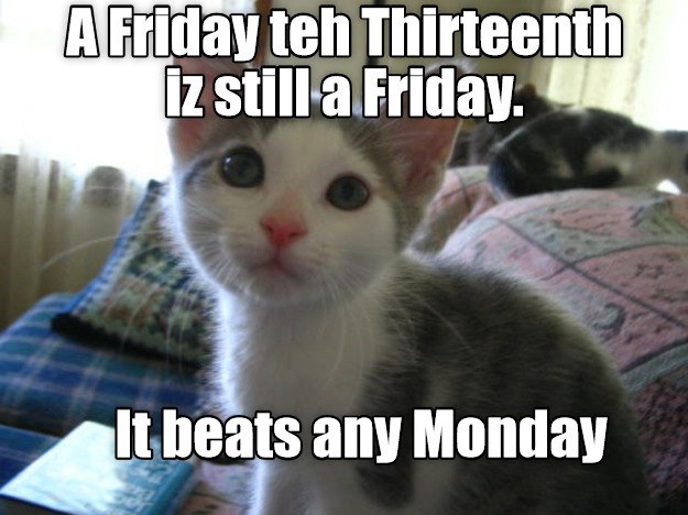 Friday 13th - Lolcats - lol | cat memes | funny cats | funny cat ...