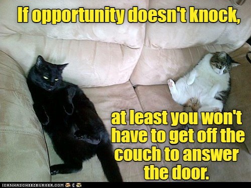 Come on in, it's open. - Lolcats - lol | cat memes | funny cats | funny ...