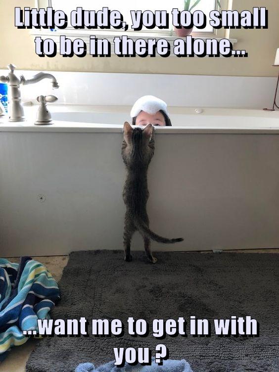 Lending a helping paw - Lolcats - lol | cat memes | funny cats | funny ...