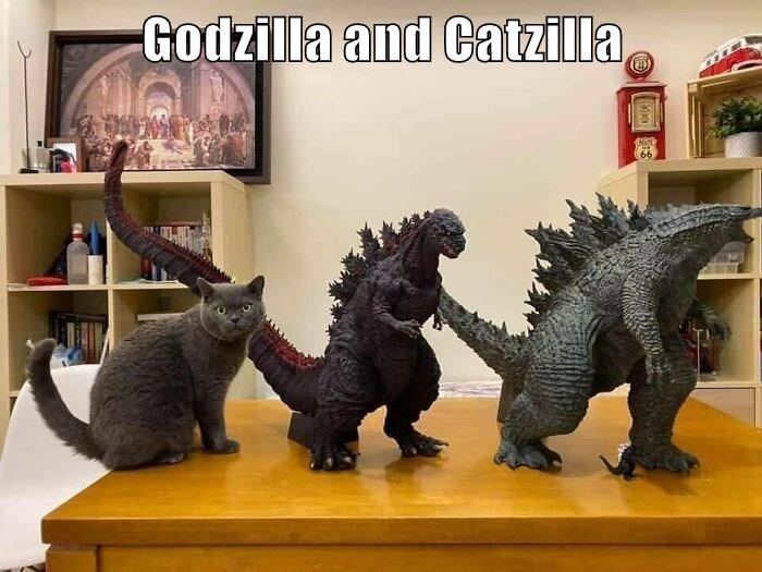 Godzilla and Catzilla - Lolcats - lol | cat memes | funny cats | funny ...